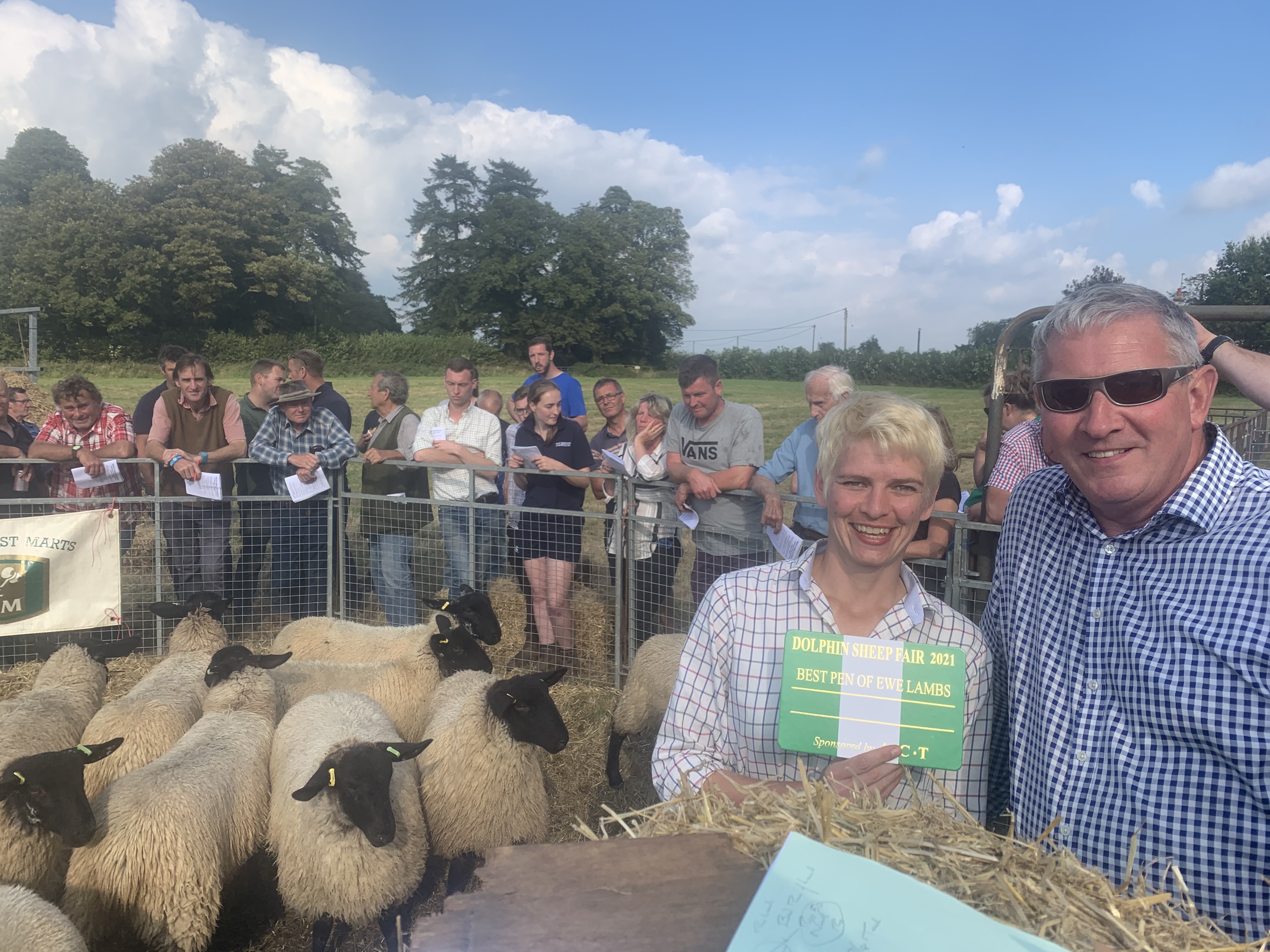 Dolphin Sheep Fair